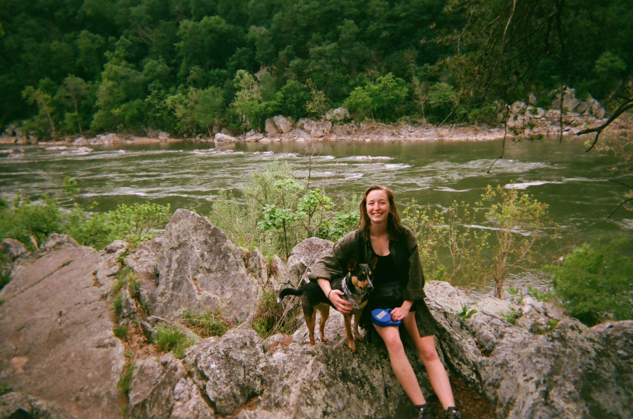 Introducing Bambi – Bambi the Cattle Dog Mix